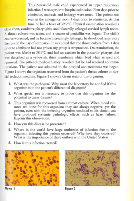 Solved Please answer each case study individually with | Chegg.com