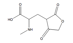 Solved HO NH | Chegg.com