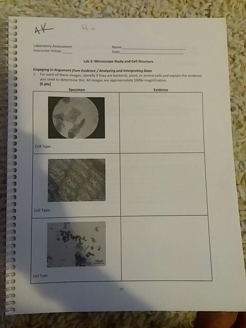 Solved AK- Laboratory Assessment instructor Initials Name | Chegg.com