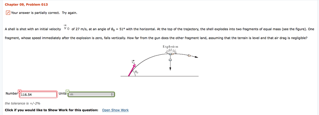 Solved Chapter 09, Problem 013 Your answer is partially | Chegg.com