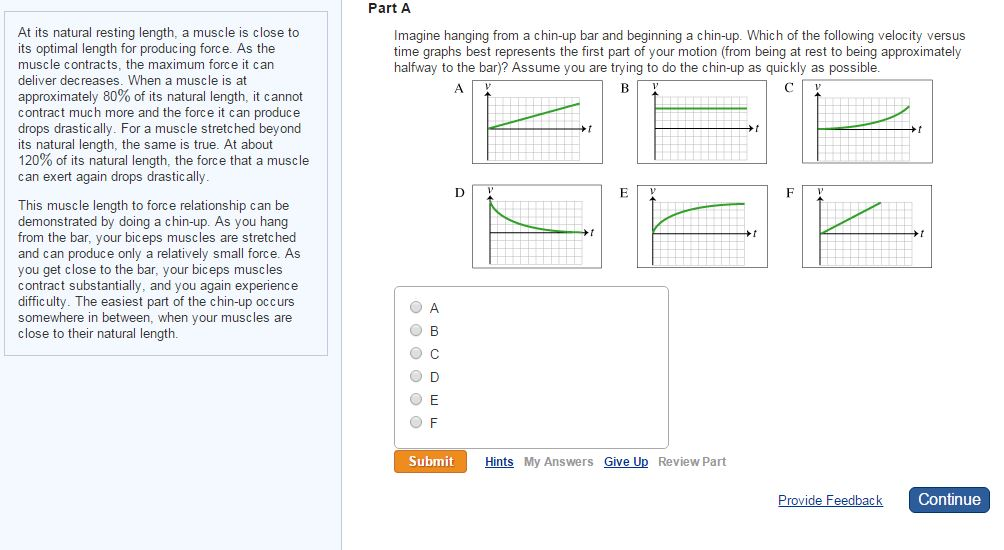 Solved At its natural resting length, a muscle is close to | Chegg.com