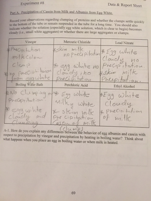 Experiment 8 Data & Report Sheet Part A Precipitation | Chegg.com