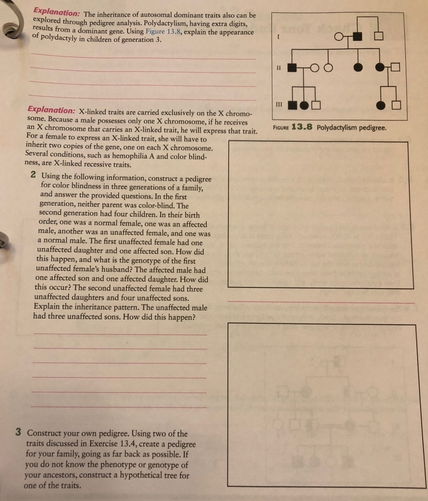Solved Explanation: The inheritance of autosomal dominant | Chegg.com