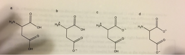 Solved Which of the following structures shows the prevalent | Chegg.com