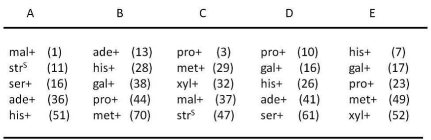 Five Hfr strains A through E are derived from a | Chegg.com