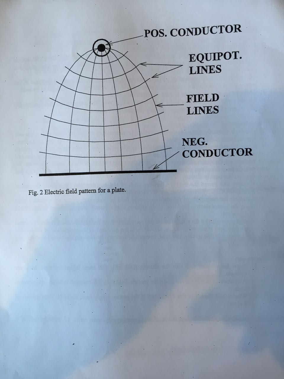 Solved MeasData Sheet E-3 Electric Field Plotting Name: | Chegg.com