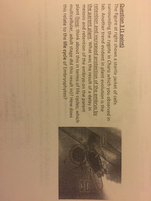 Solved The figure at right shows a sterile jacket of cells | Chegg.com