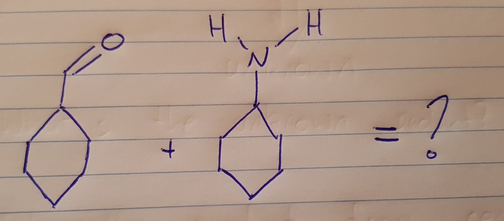Solved what is the major product of this addition? | Chegg.com