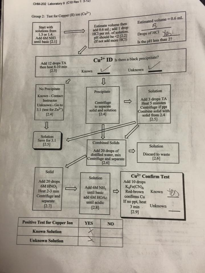 1) Write the Ksp expression for each of the | Chegg.com