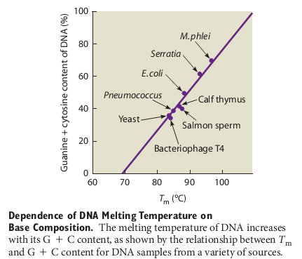 Solved For a double-stranded DNA molecule in which 15% of | Chegg.com