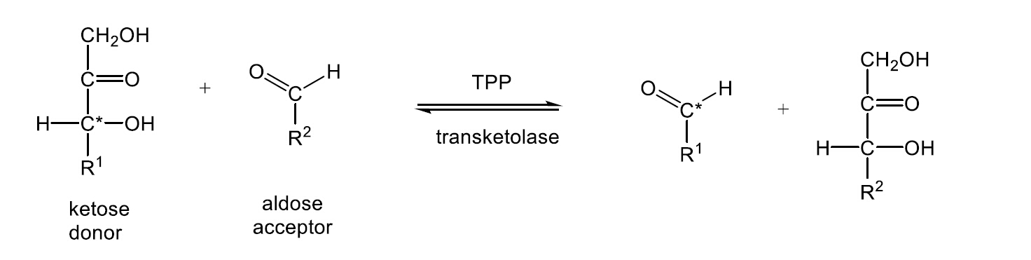 Solved Transketolase is an enzyme that catalyzes the | Chegg.com