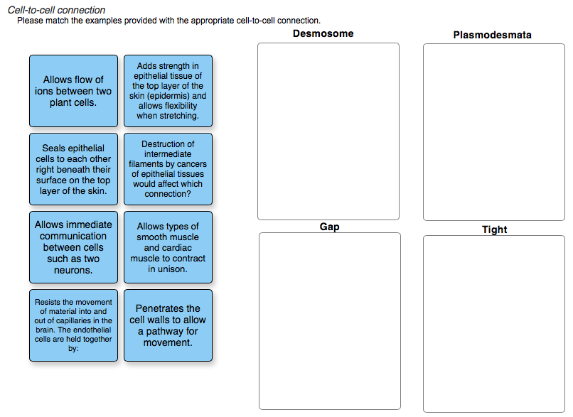 Solved Cell-to-cell connection Please match the examples | Chegg.com