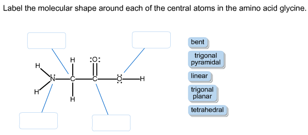 Solved Label the molecular shape around each of the central | Chegg.com