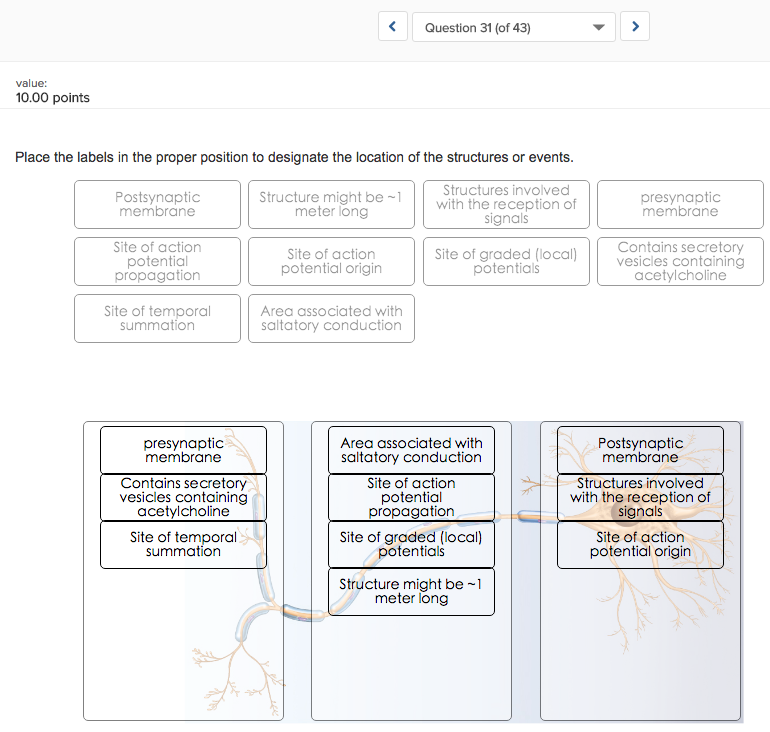 Solved Please check if I had the labels in the correct boxes | Chegg.com