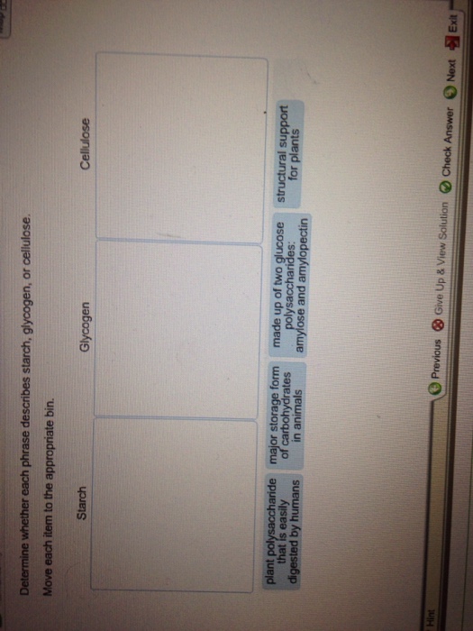 Solved Determine Whether Each Phrase Describes Starch 3860