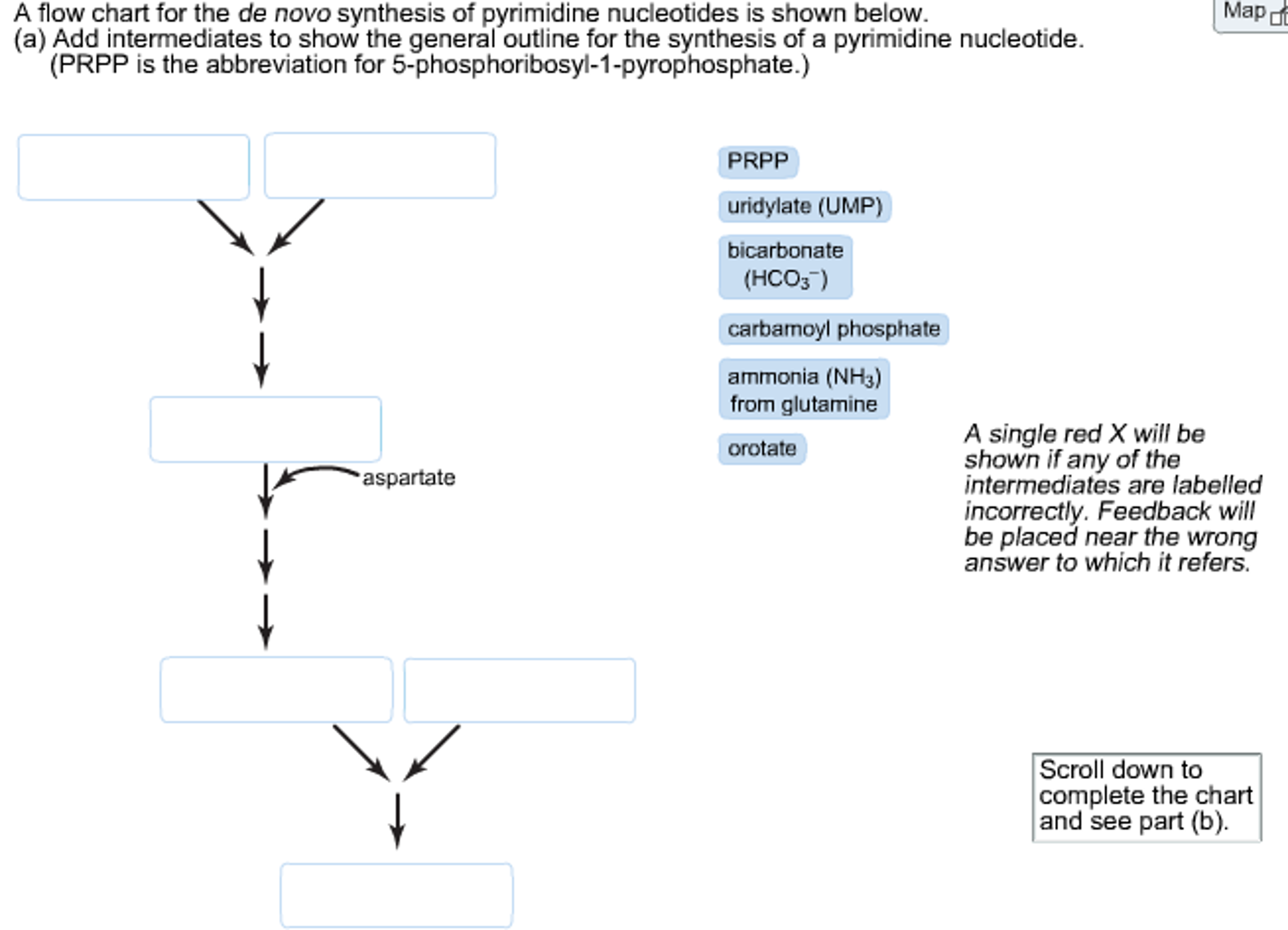 Solved A flow chart for the de novo synthesis of pyrimidine | Chegg.com