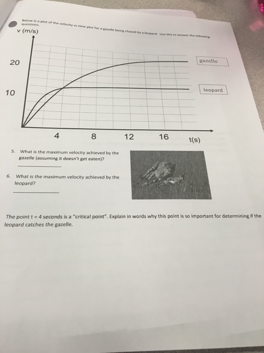 Solved V Below As A Plot Of The Velocity Vs Time Plot For