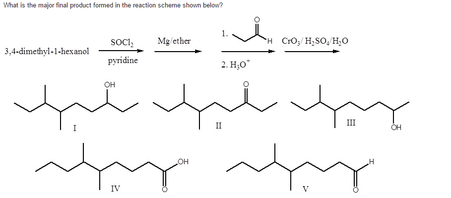 Solved What is the major final product formed in the | Chegg.com