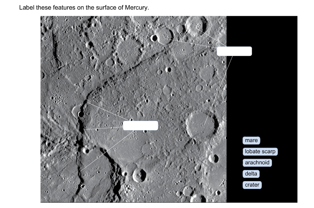 Solved Label these features on the surface of Mercury. mare | Chegg.com