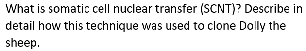 Solved What is somatic cell nuclear transfer (SCNT)? | Chegg.com