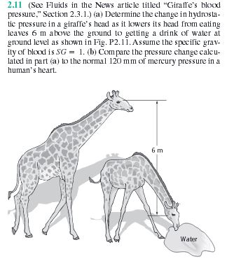 Solved (See Fluids in the News article titled "Giraffe's | Chegg.com
