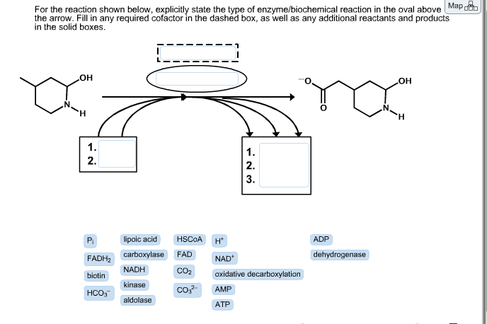 For the reaction shown below, explicitly state the | Chegg.com