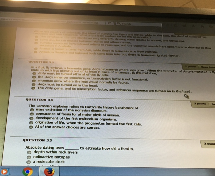 Solved The Cambrian explosion refers to Earth's life history | Chegg.com