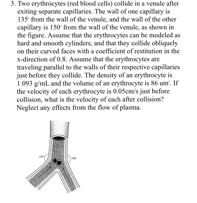 Solved Two erythrocytes (red blood cells) collide in a | Chegg.com