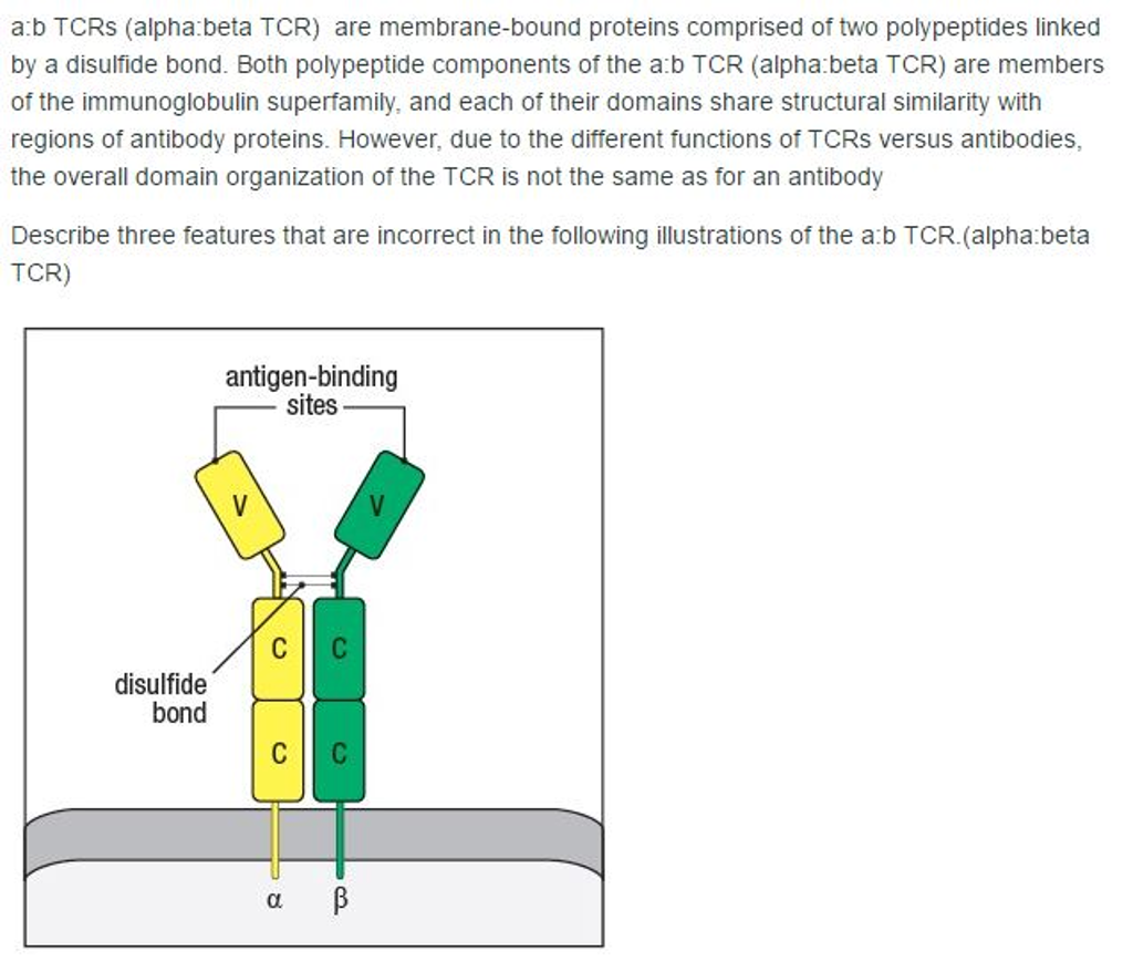 Solved TCRs (alpha:beta TCR) are membrane-bound proteins | Chegg.com