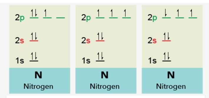 Solved Below are three energy diagrams for nitrogen; only | Chegg.com