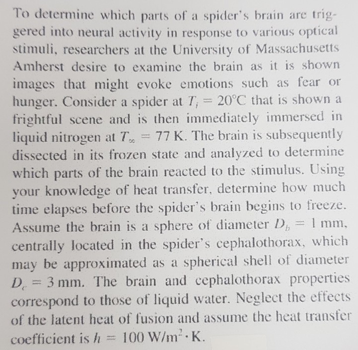 Solved To determine which parts of a spider's brain are | Chegg.com