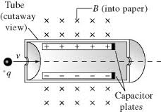 Solved A velocity selector is used in accelerator mass | Chegg.com
