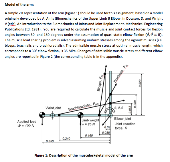 Model of the arm: A simple 2D representation of the | Chegg.com