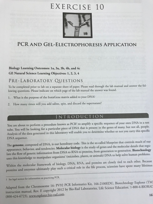 Solved EXERCISE 10 10 PCRAND GEL-ELECTROPHORESIS APPLICATION | Chegg.com