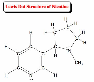 Nicotine Lewis Structure