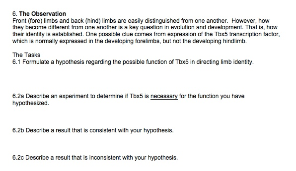 Solved The Observation Front (fore) limbs and back (hind) | Chegg.com