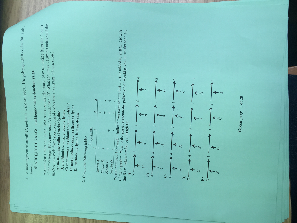 Solved Please don't answer any question if you can't answer | Chegg.com