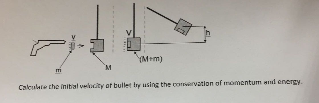 Solved Calculate the initial velocity of bullet by using | Chegg.com