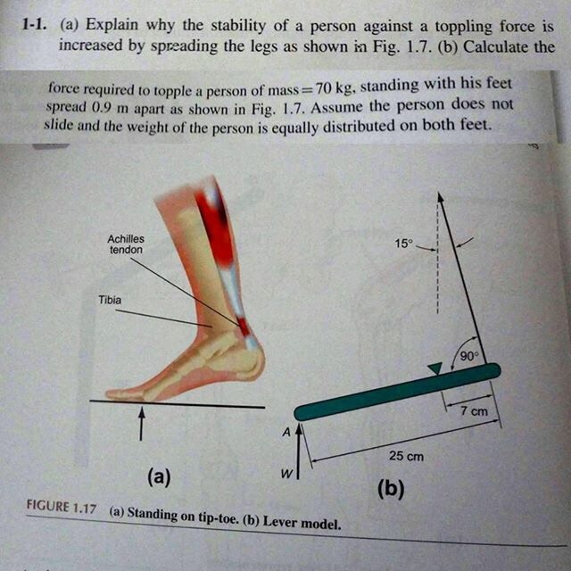Solved Explain why the stability of a person against a | Chegg.com