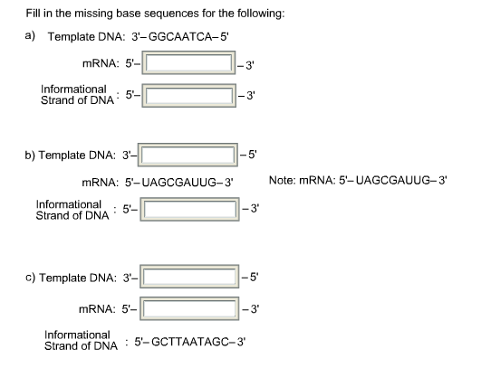 Solved Fill in the missing base sequences for the following: | Chegg.com
