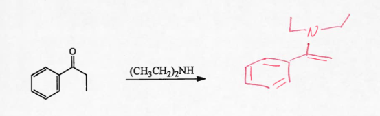 Solved (CH3CH2)2NH LU | Chegg.com