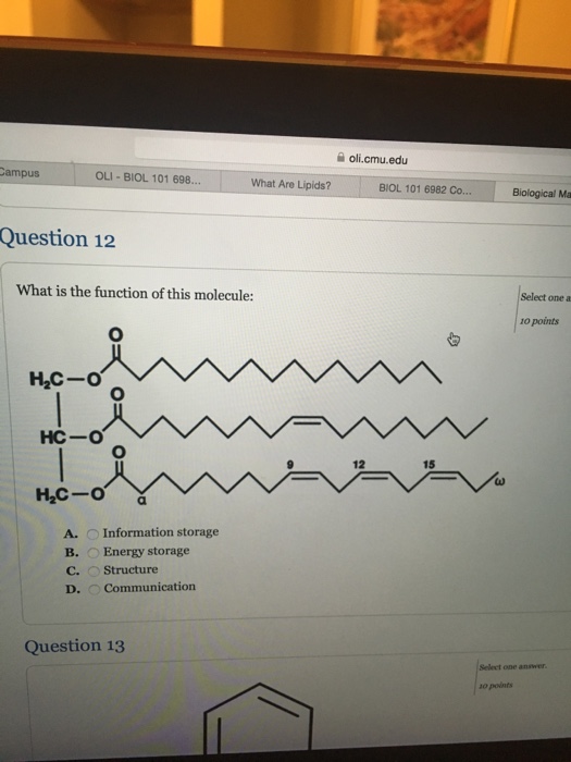 Solved What is the function of this molecule: Information | Chegg.com
