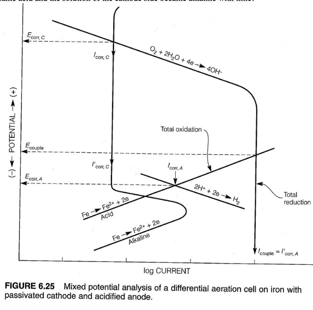 Solved Differential aeration cell may be used to explain the | Chegg.com