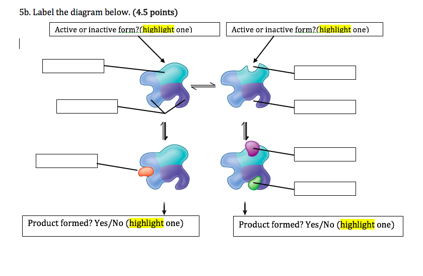 Solved 5b. Label the diagram below. (4.5 points) ー] Active | Chegg.com