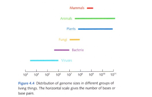 Solved Figure 4.4 Distribution of genome sizes in different | Chegg.com