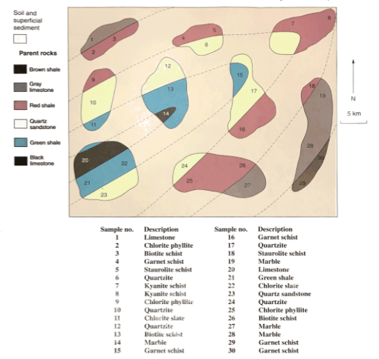 Solved Soll and Parent rocks 12 Brown shale 15 19 10 Red | Chegg.com