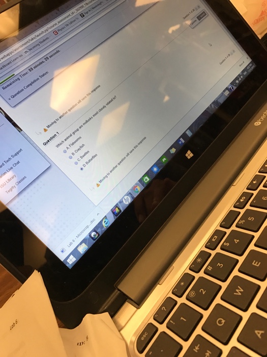 Solved Check my answers right or wrong? | Chegg.com