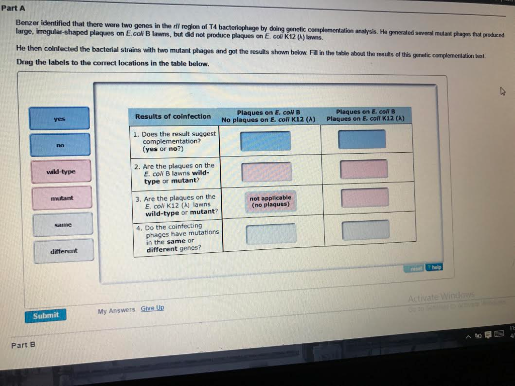 Solved Seymour Benzer experimented with bacteriophages and | Chegg.com