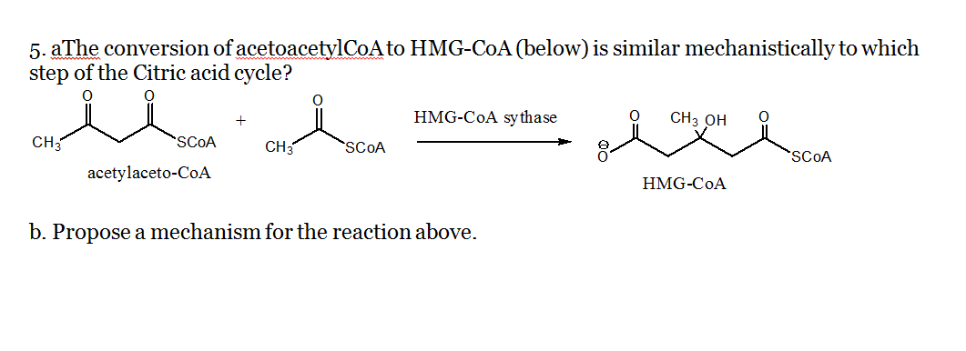 Solved The conversion of acetoacetyl coA to HMG-CoA (below) | Chegg.com