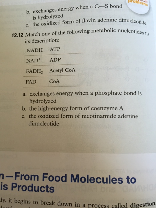 Solved Match one of the following metabolic nucleotides to | Chegg.com